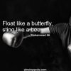 Muhammad Ali Quotes on Sting Like a Bee - abrainyquote