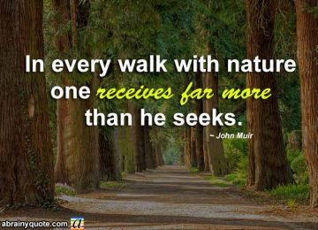 John Muir Quotes on What’s in Every Walk with Nature - abrainyquote