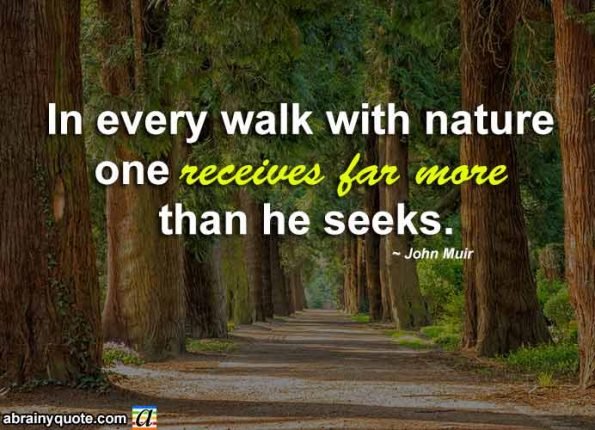John Muir Quotes on What’s in Every Walk with Nature - abrainyquote