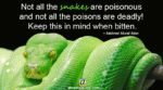 Mehmet Murat Ildan Quotes on Snakes and Poisons - abrainyquote